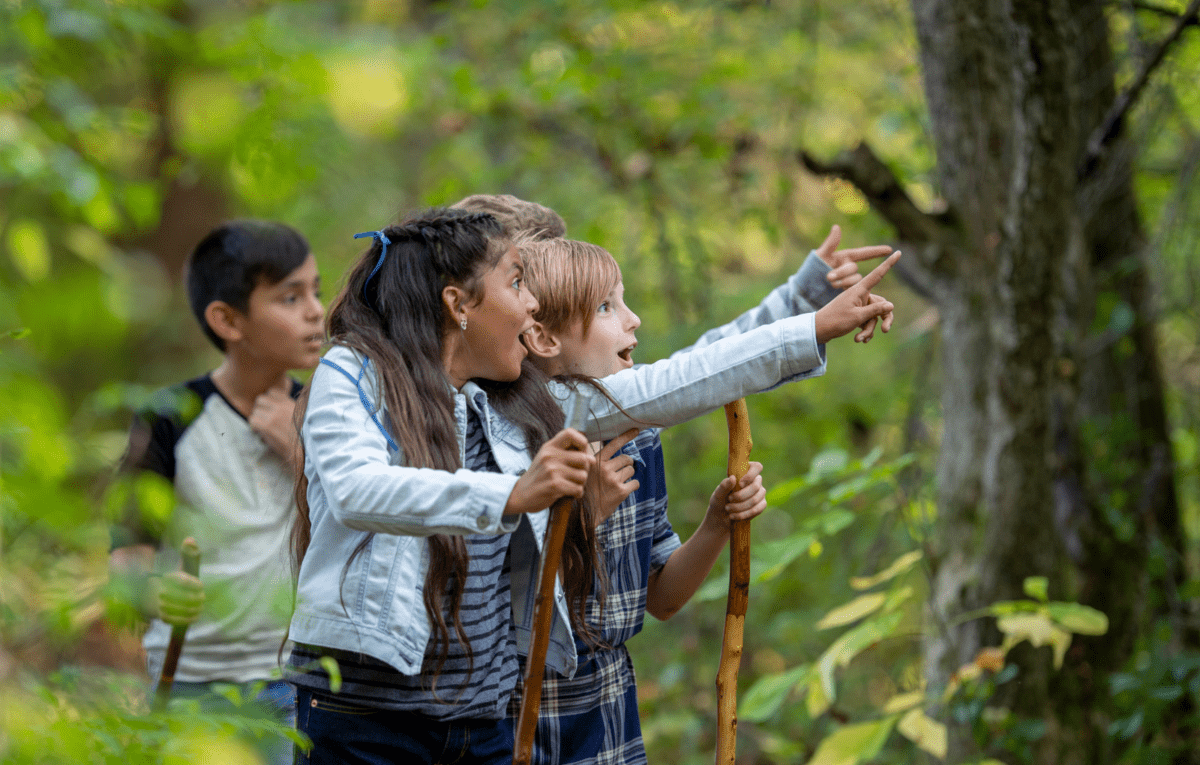 CampDoc: Sports Camp Registration Software + Electronic Health Records